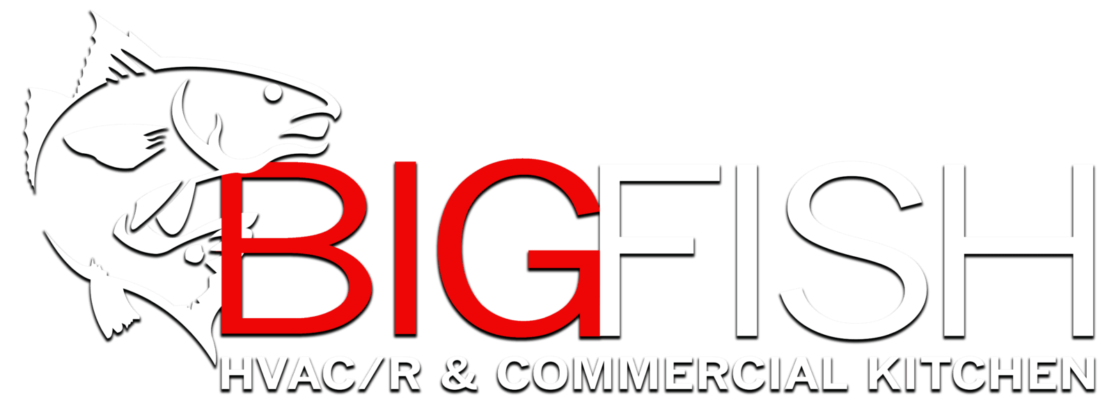 Commercial HVAC Contractor in Austin - Big Fish HVAC/R